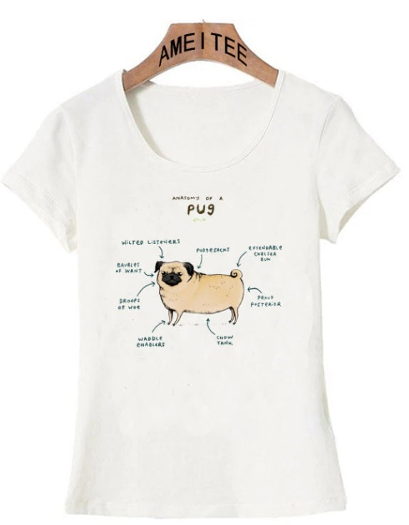 Anatomy of a Pug – My Best Friends Home